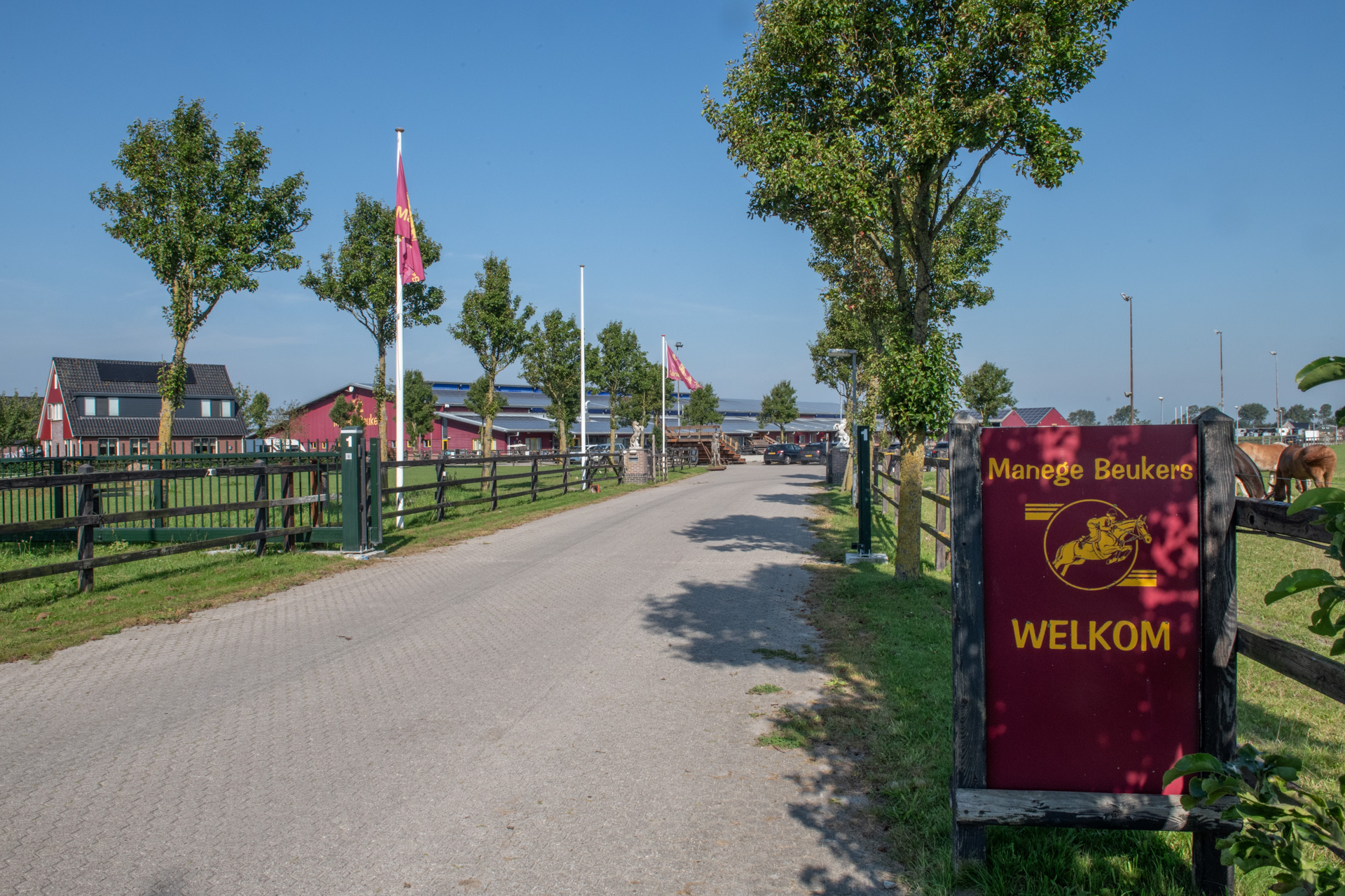 Manege Beukers: Focus op veelzijdigheid | FNRS