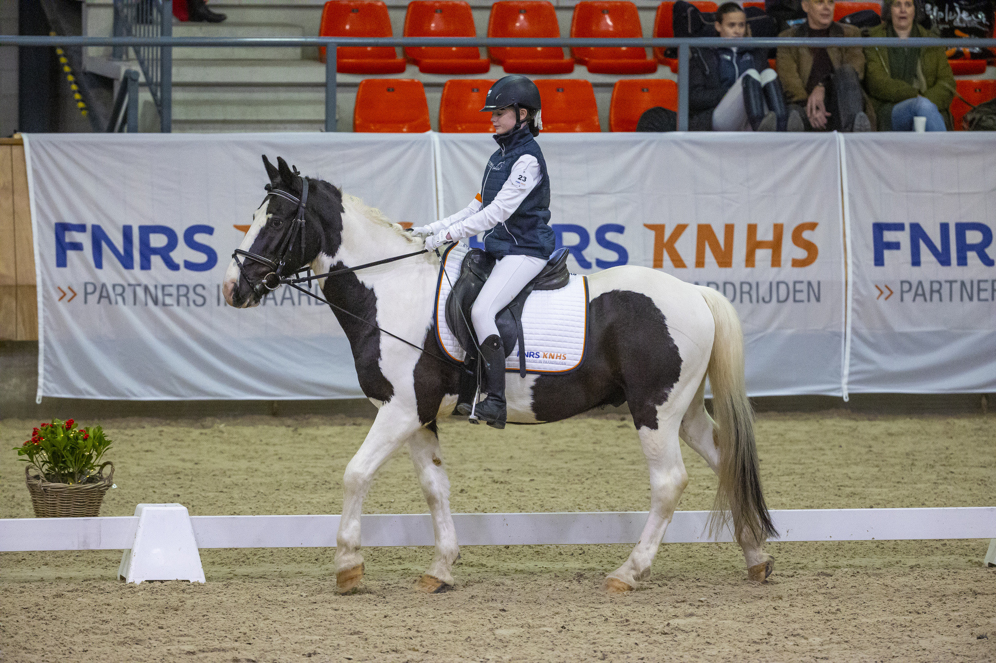 FNRS organiseert Zitcompetitie 2025 onder label Plezier met Paarden | FNRS