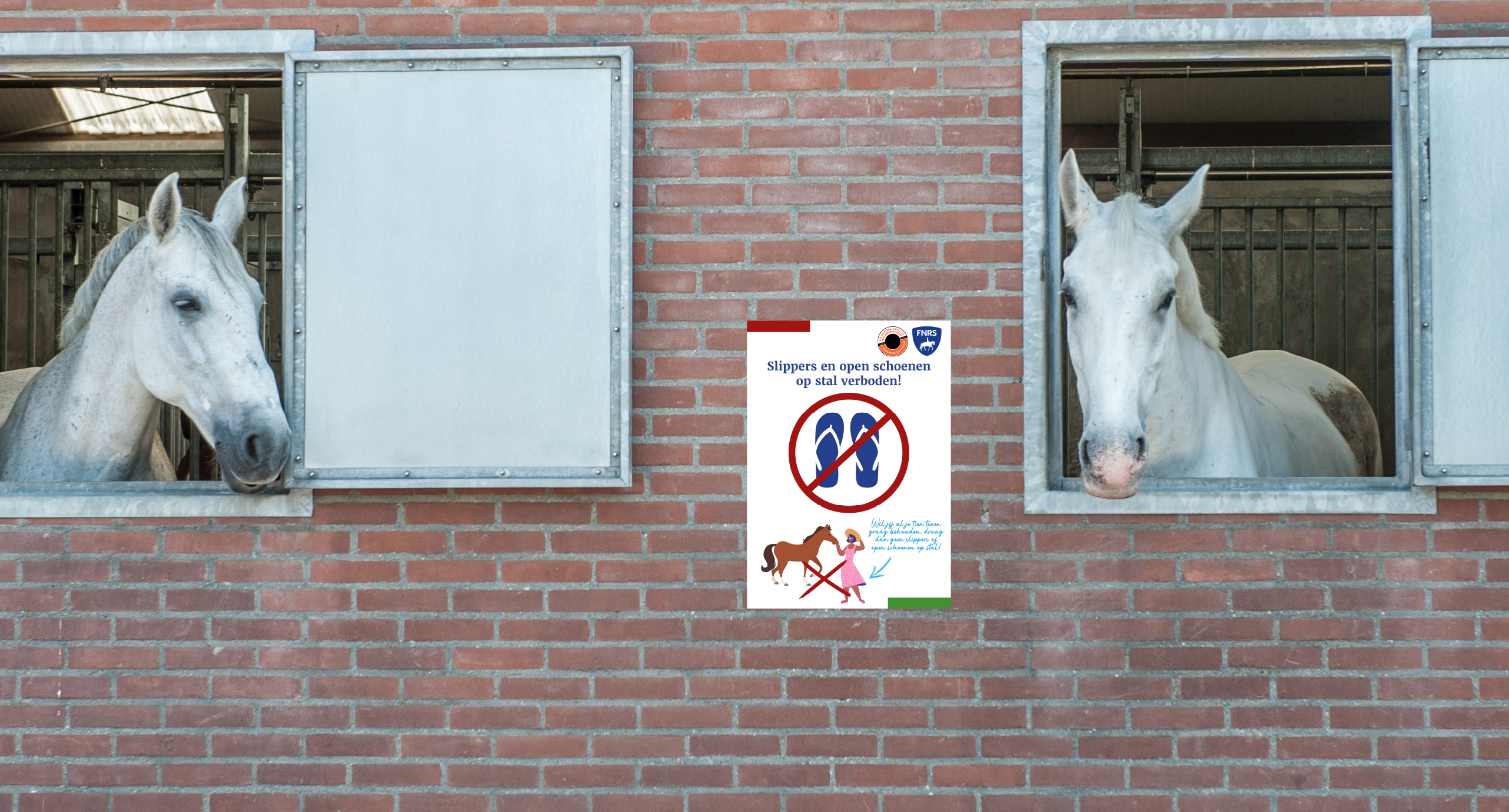 Amigas Utklipp Cochabambabarn